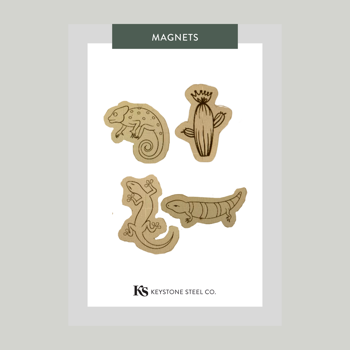 Lizard and Cactus Magnets, Pack of 4 – KEYSTONE STEEL CO.