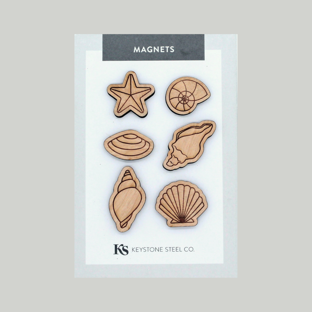 Seashell Magnets, Pack of 6 – KEYSTONE STEEL CO.